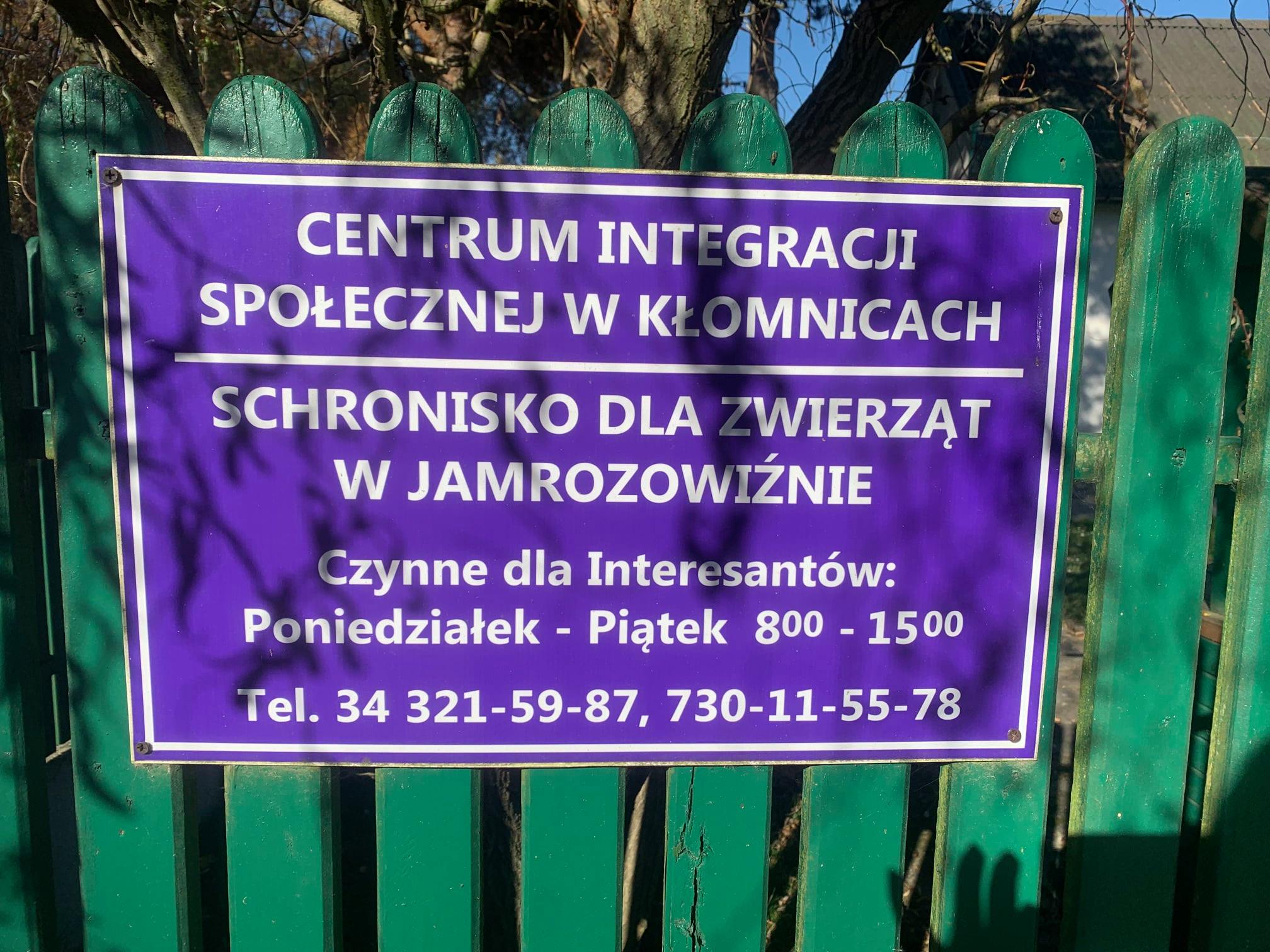 Canis e Catus: Miłośnicy psów powinni pomagać i powinni się szkolić ...